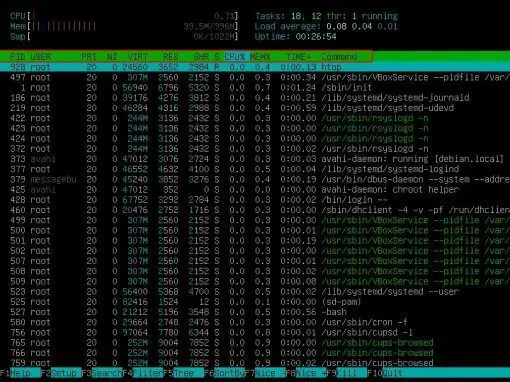 Comandos básicos para trabajar con procesos Linux - El Taller del Bit